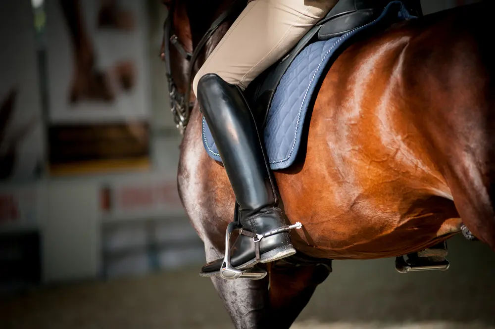 Cómo se ponen las espuelas en las botas para jinetes | Bucanero Calzados